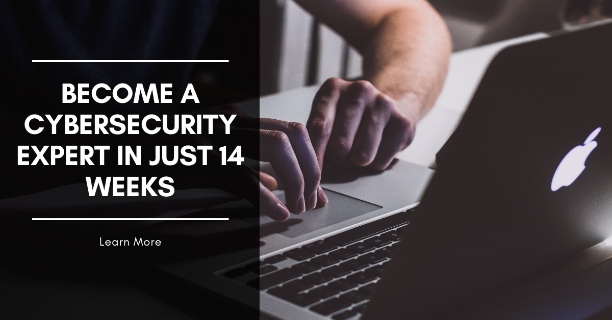 Become a C#/.NET Developer in 3 Months